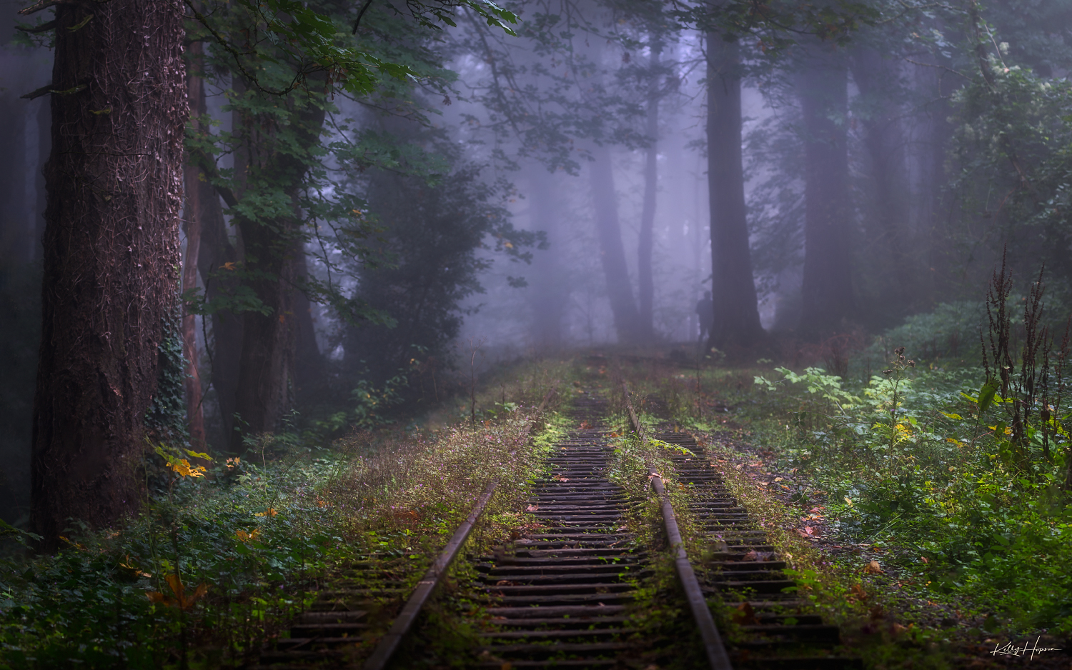 Where's Waldo | Forest Park. Portland, Oregon. | Kelly Hopson Photography
